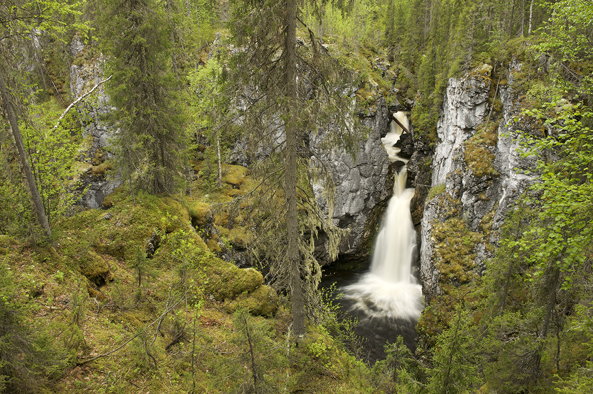 Самое интересное о природном наследии ЮНЕСКО в России